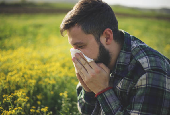 Haytox Treatment | The Lime Tree Clinic